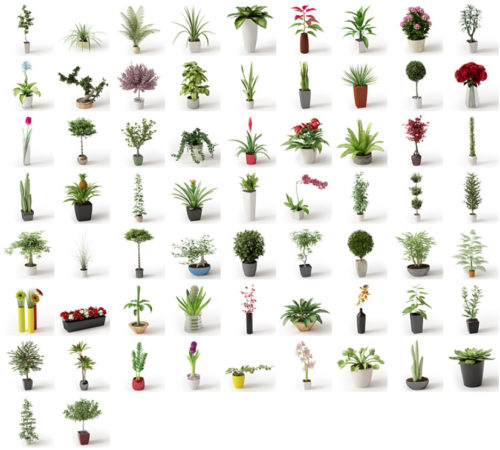 Archmodels Vol. 066 - Plants - 3D Textures, 3D Models & 3D Software