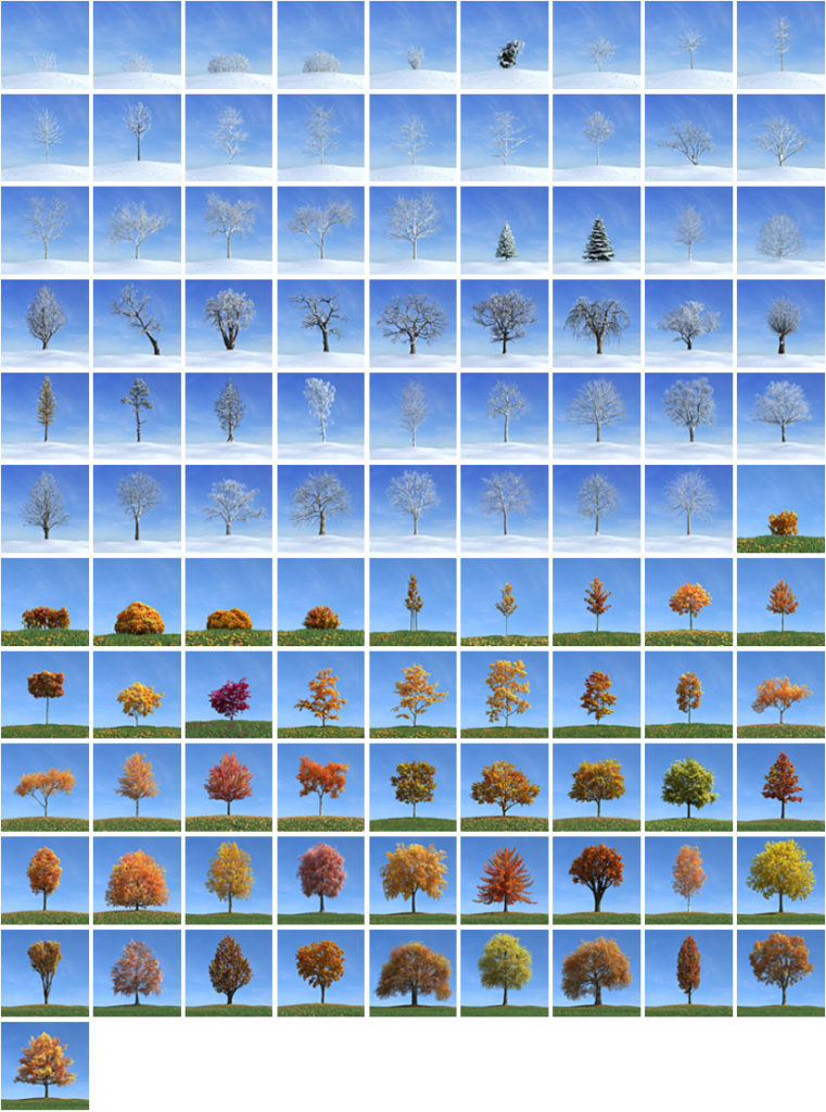 Archmodels Vol. 100 - 3D Models of Autumn and Winter Trees