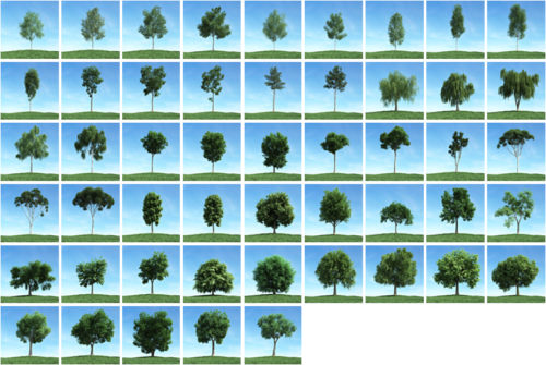 Archmodels Vol. 106 - 3D Models of Trees
